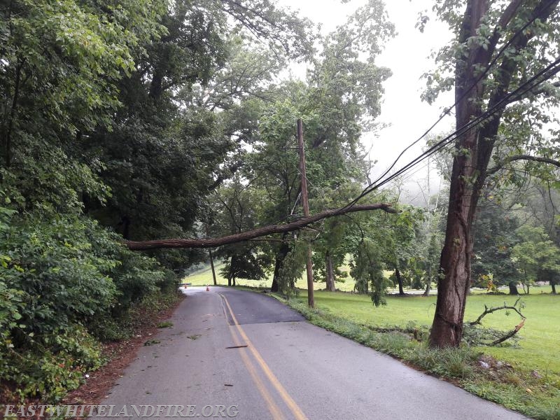 Tree on Power Lines - East Whiteland Volunteer Fire Association